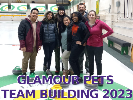 Team Building Activities Gallery | Glamour Pets Mobile Dog Grooming in ...