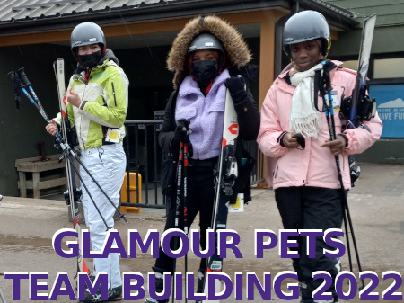 Team Building Activities Gallery | Glamour Pets Mobile Dog Grooming in ...