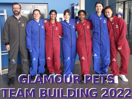 Team Building Activities Gallery | Glamour Pets Mobile Dog Grooming in ...
