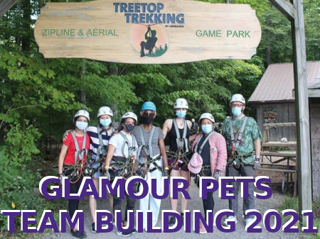 Team Building Activities Gallery | Glamour Pets Mobile Dog Grooming in ...
